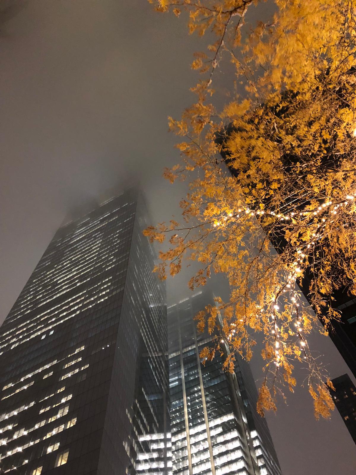 Jusqu’au 15-02-2020 prolongation de l’exposition ‘Vagabondages’ de 7 ...